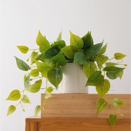 Forever Leaf Artificial Pothos Plant with White Pot FL03101 | Zoro